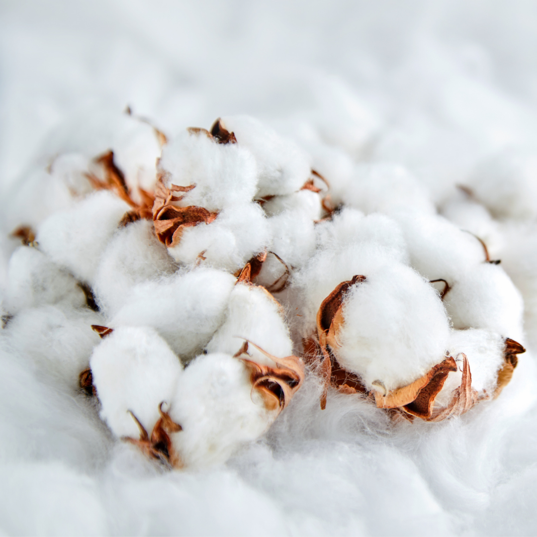 TRS vs TRRS: Which Is Right for Your Audio Needs? – TURNSTONE CABLES