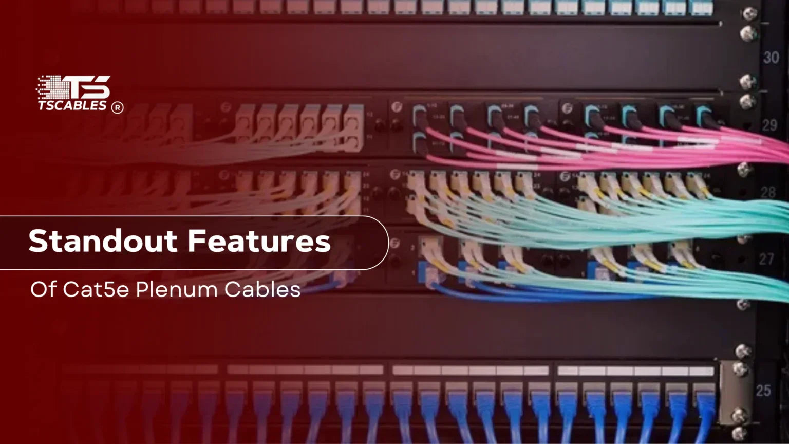 Standout Features of Cat5e Plenum Cables – TURNSTONE CABLES